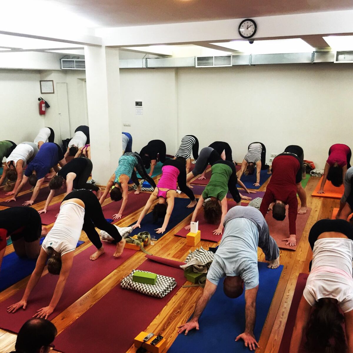 Курс инструкторов йоги - дистанционно - Школа йоги Игоря Долбышева Йога 365